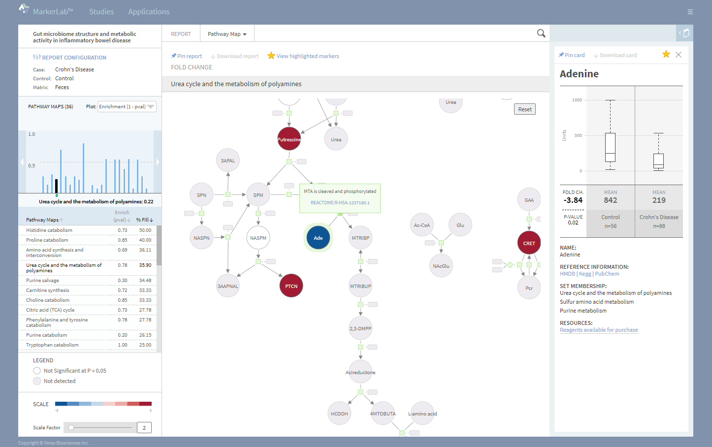 Verso | Web Application Development Case Study | Dayspring